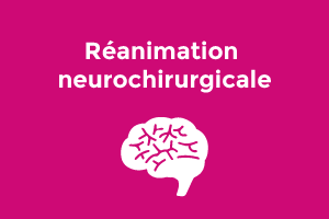 rea-rose-2 | Hôpitaux Universitaires Pitié Salpêtrière
