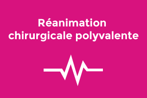 rea-rose-3 | Hôpitaux Universitaires Pitié Salpêtrière