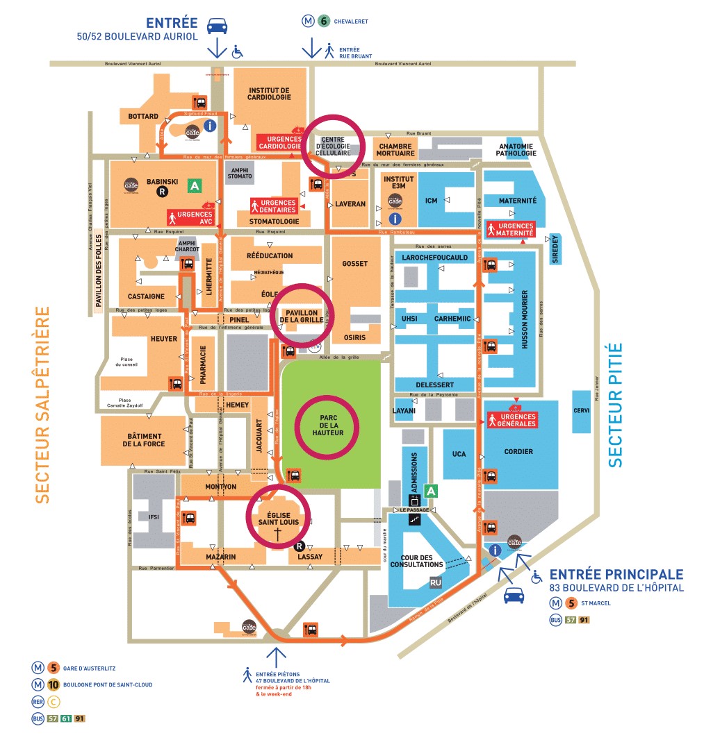 Hôpital de la Salpétrière (Paris (13 th )) Structurae - amtech.blog